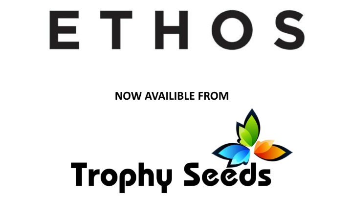 Ethos Genetics now availible in South Africa - gevaaalik.com